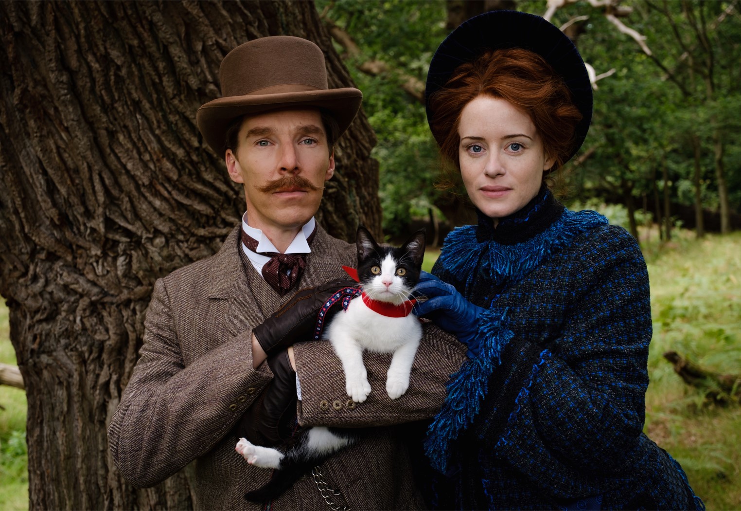 The Electrical Life of Louis Wain - Cumberland Lodge