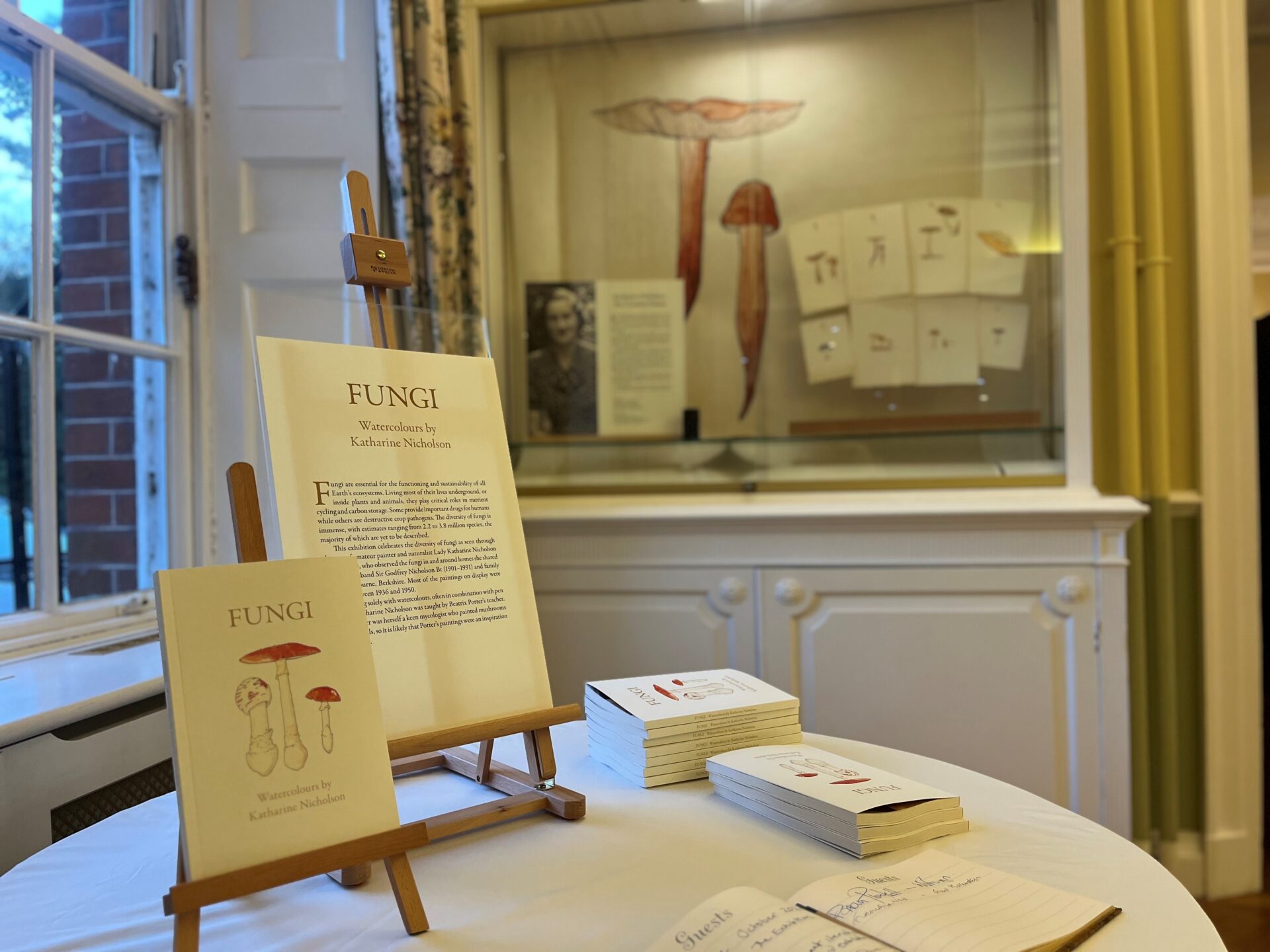 Watercolours by Katharine Nicholson on display - Cumberland Lodge